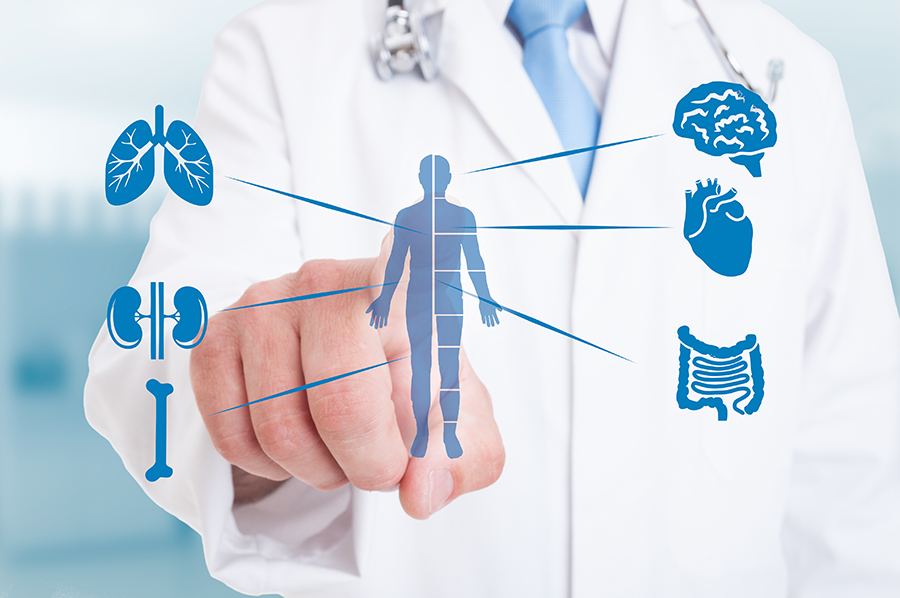 Naturopathic & Functional Medicine : Services in Kitchener-Waterloo ...