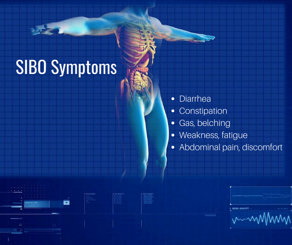 Small Intestinal Bacterial Overgrowth : News & Updates : HealthSource ...