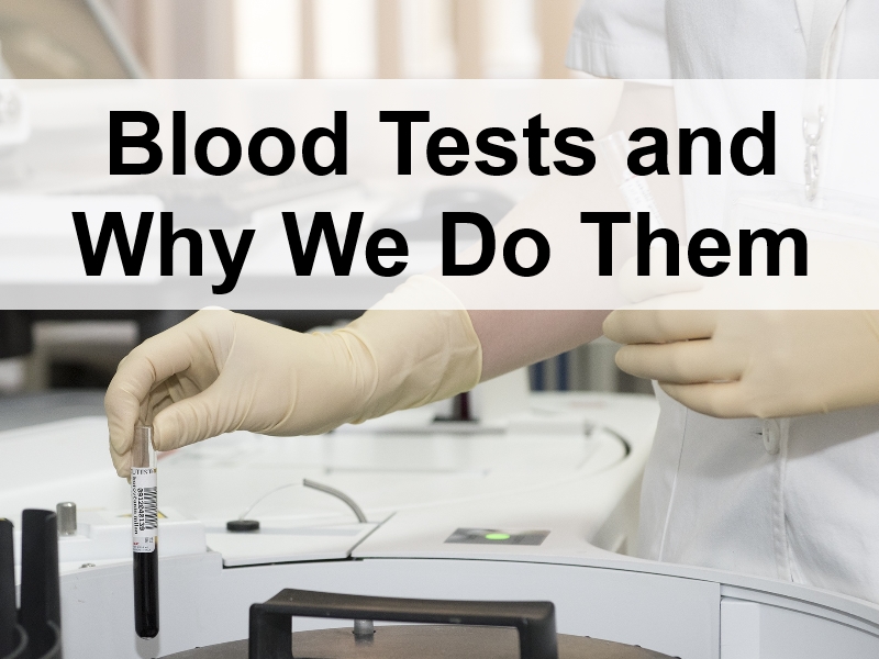 Blood Tests and Why We Do Them : News & Updates : HealthSource ...