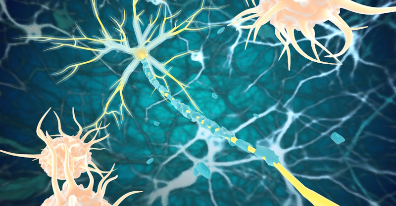 Autoimmune Disease: Genetics vs. Environment : News & Updates ...