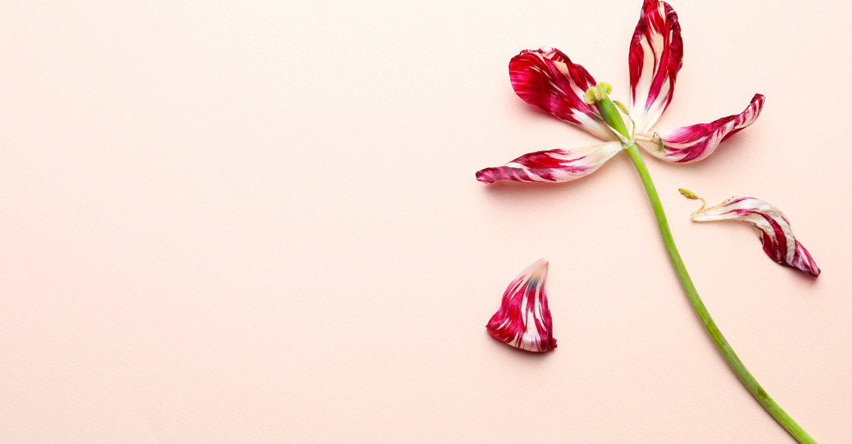 Lost Your Spark? How Hormones Affect Libido & How to Fix It! : News ...